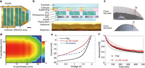 Scientists Turned A Madagascar Cockroach Into A Remote Controlled