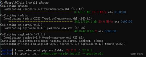 Pip安装报错could Not Fetch Url Simplexx There Was A Problem Confirming The Ssl C
