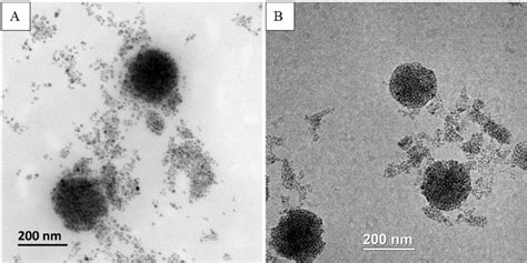 Figure 1 From Development Of Theranostic Cationic Liposomes Designed