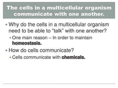 Ppt Cell Specialization And Cell Communication Powerpoint