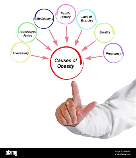 Obesity Causes Did You Know That Obesity Is Actually A Brain Based