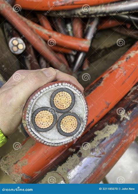 Copper Cable Cross Section Showing The Three Cores Of Heavy Duty Copper