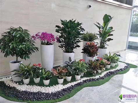 合作案例 湖南御花园花卉园艺有限责任公司