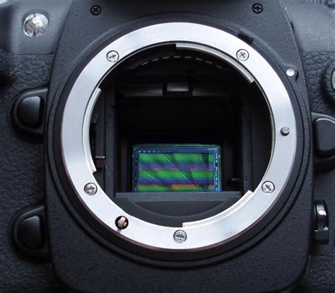 How To Buy A Digital Camera Guide