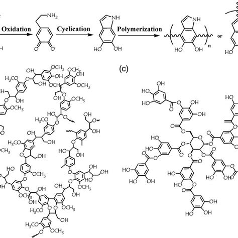 Three Kinds Of Sf Surface Coating Materials A Polydopamine B Alkali Download Scientific