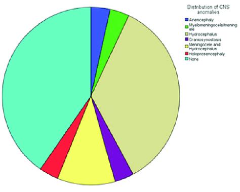 Distribution Of Central Nervous System Cns Anomalies Download Scientific Diagram