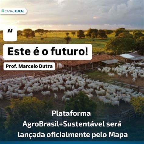 Desenvolvimentosustentavel Sustentabilidade Agronegocio