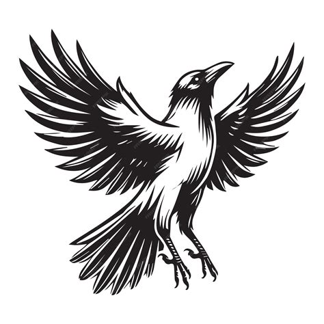 Crow Outline Clipart Crow Bird Vector Illustration In Black And White