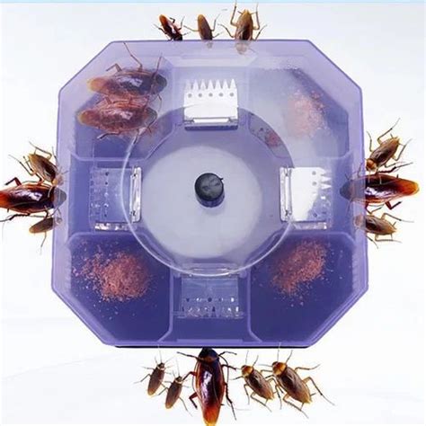 Cockroach Traps Box Cockroach Bug Roach Catcher Cockroach Killer At ₹ 14000 कॉकरोच ट्रैप
