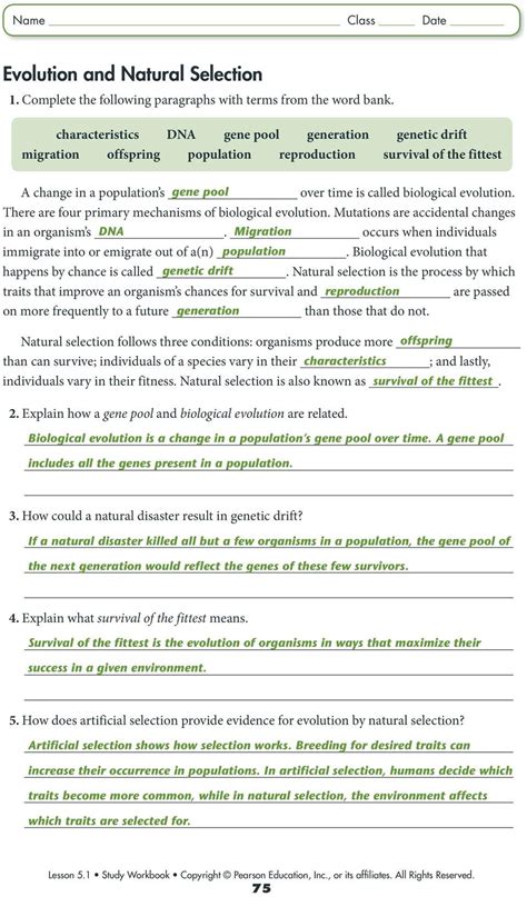 Natural Selection Worksheet For Middle School 19 Printable Pdf Template