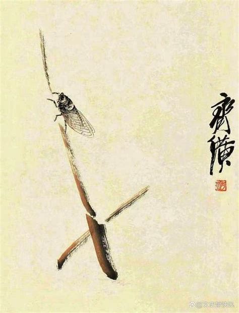 齐白石画的蝉八亿的图 齐白石画的蝉值八亿元 随材艺志
