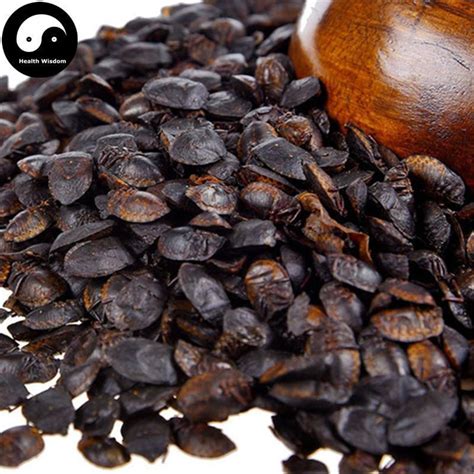 Buy Best Herb Jiu Xiang Chong 九香虫 Aspongopus Stink Bug Online Tea