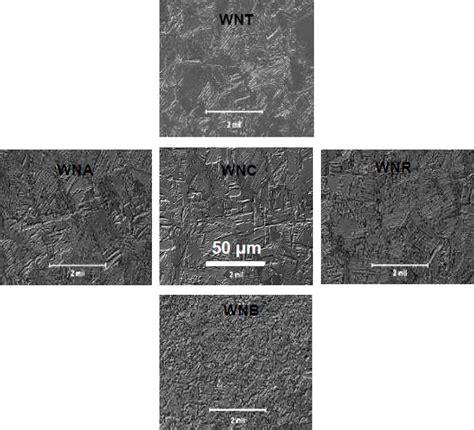 Superplastic Forming And Diffusion Bonding Solheim Manufacturing Science And Technology Laboratory