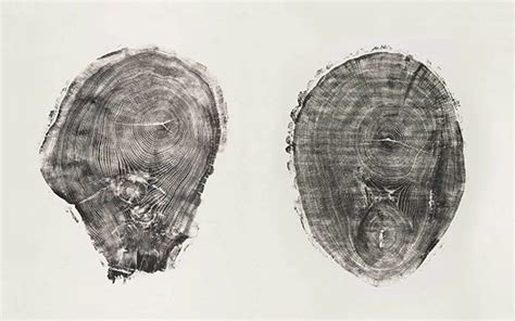 Dinesen Behance
