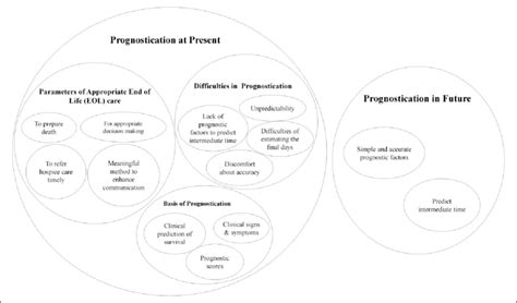 The Perspectives Of Palliative Care Physicians About Prognostication