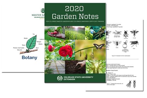 Garden Notes Master Gardener Course ~ Free Download Diy Homeschooler