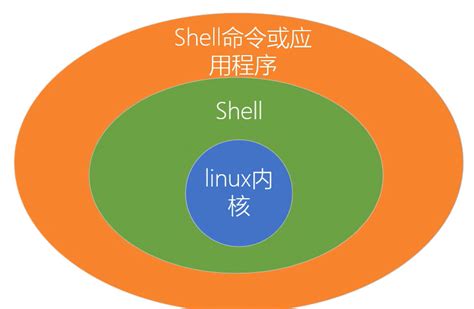 Shell脚本编程 Csdn博客