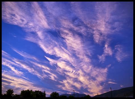 Critical Illness Neuropathy Neuropatia Da Malattia Critica O Cip