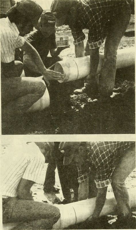 Image From Page 156 Of Cranberries The National Cranbe Flickr