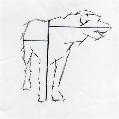 Foreshortening Objects