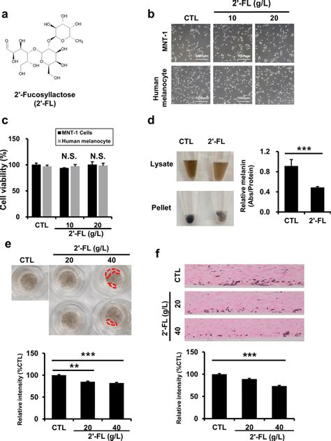 2 Fucosyllactose Reduces Melanin Production A Chemical Structure Of
