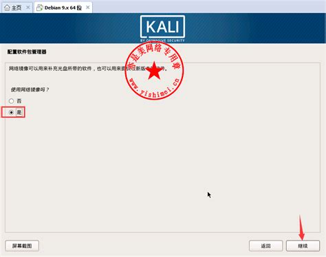 这一步选择 是”使用网络镜像，然后点击 继续”，