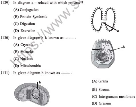 Cell Structure And Function Neet Biology Mcqs Set 2 With Answers