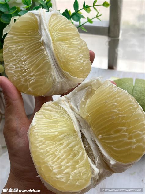 青柚摄影图水果生物世界摄影图库昵图网