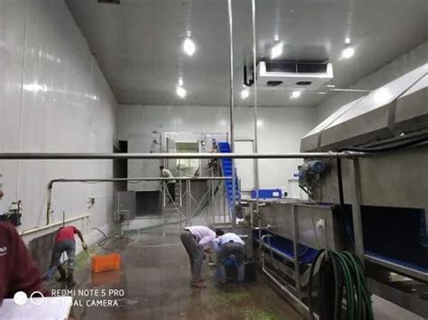 Semi Automatic Fruit And Vegetable Processing Plant At ₹ 500000 Piece In Agra