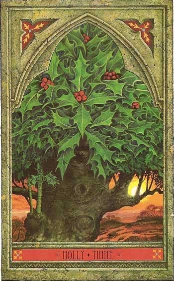 The Goddess Tree Grows Holly Sticks And Stones