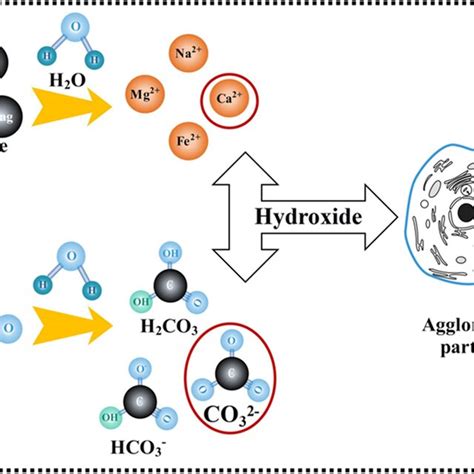Schematic Of Instantaneous Mass Transfer Near The Gas Slurry Interface