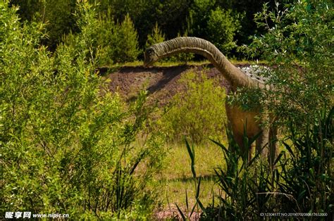 龙摄影图其他生物生物世界摄影图库昵图网 龙摄影图其他生物生物世界摄影图库昵图网