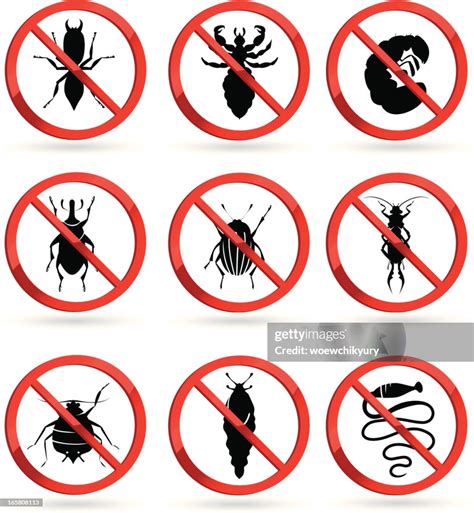 Harmful Insects High Res Vector Graphic Getty Images