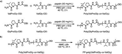 Chemoenzymatic Synthesis Of Polypeptides Consisting Of Periodic Di And
