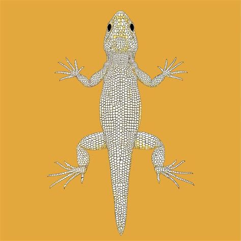 Intricate Lizard Skin Pattern With Delicate Details Vector Illustration