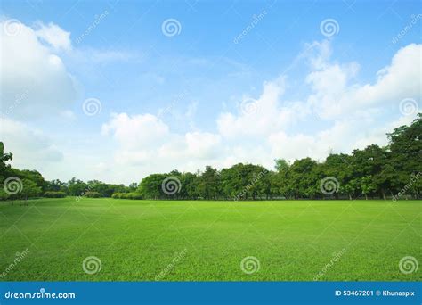 Beautiful Green Grass Field And Fresh Plant In Vibrant Meadow Ag Stock