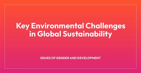 Key Environmental Challenges In Global Sustainability Gender Studies