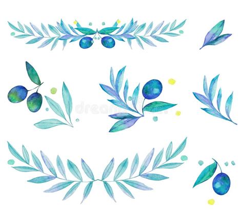 Olive Branch Black White Stock Illustrations 10582 Olive Branch