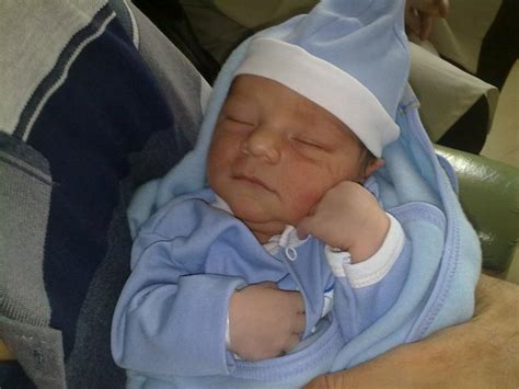 آپادانا مصور