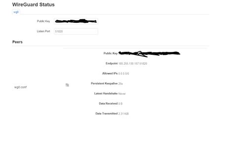 Wireguard Not Working Openvpn Protocol Works Installing And Using