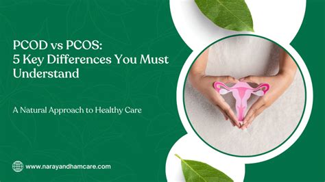 Pcod Vs Pcos 5 Key Differences You Must Understand