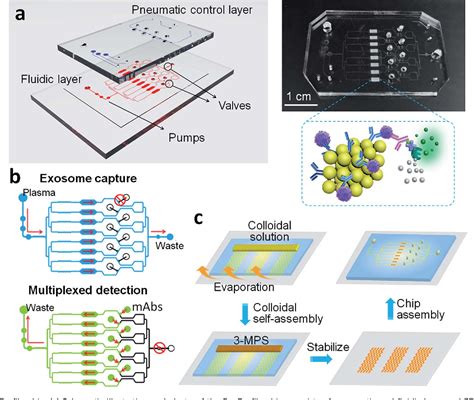 Figure 1 From Multiplexed Immunophenotyping Of Circulating Exosomes On