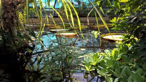Fuveszkert Botanical Garden Of Elte Budapest 2021 All You Need To