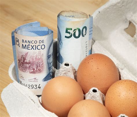 Precio Del Huevo En México Mantiene Variaciones Regionales Avinews