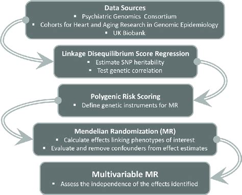 Study Design Flowchart Of The Analytic Steps And Methods Included In