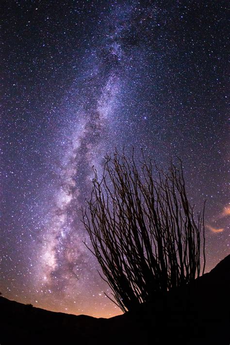 Ocotillo And The Milky Way Borrego Palm Canyon Campground Flickr