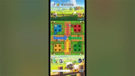 لمو الحمام Youtube