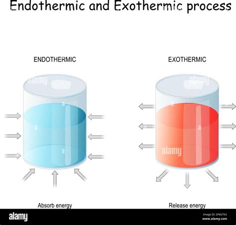 Endothermic Examples