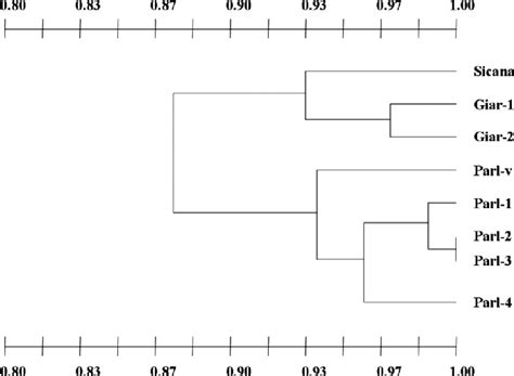 Dendrogram Upgma Method Showing The Relationships Based On Neis