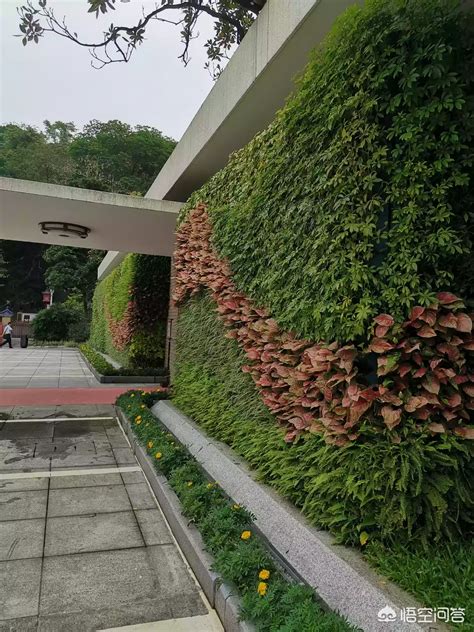 如果妈妈得了癌症晚期并已开始扩散,作为子女是否要继续为她治疗下去?还会有希望吗? 远见健康养老的回答 头条问答 如果妈妈得了癌症晚期并已开始扩散,作为子女是否要继续为她治疗下去?还会有希望吗? 远见健康养老的回答 头条问答